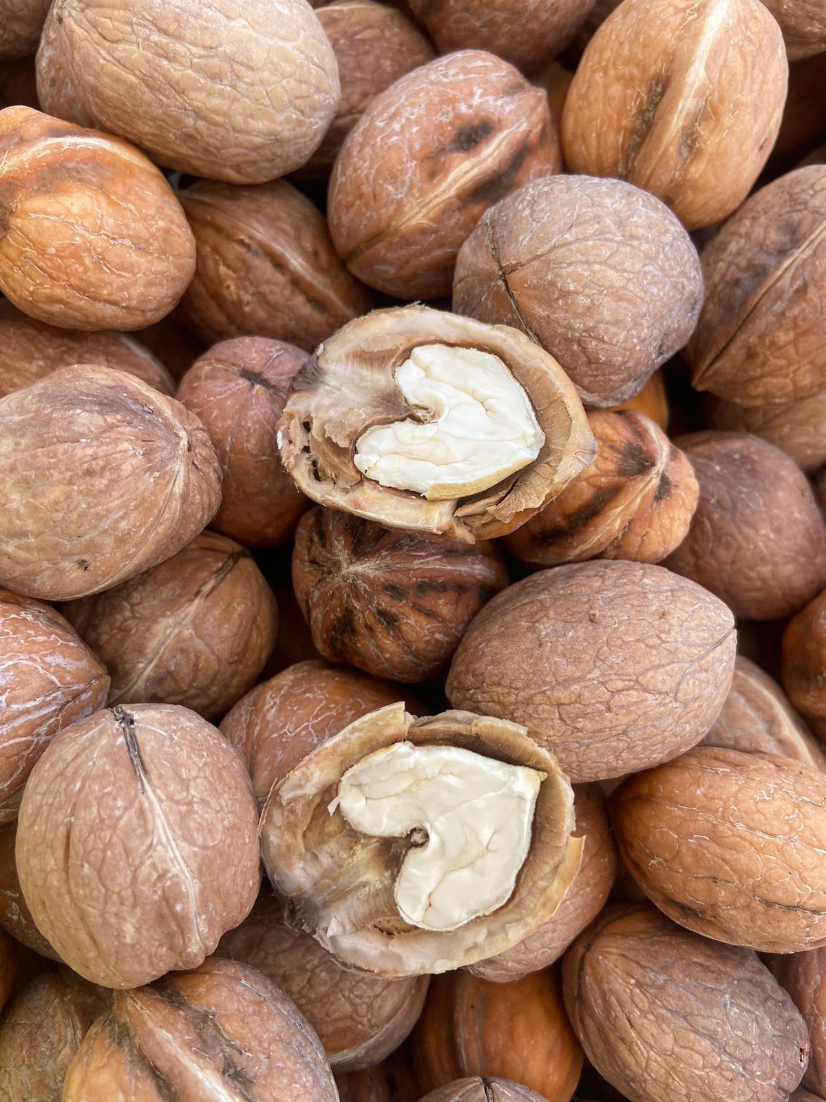 Noci fresche - Frutta Secca e Salento